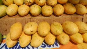 Mango Madness: Indulging in Cebu Philippines' Sweetest Fruit
