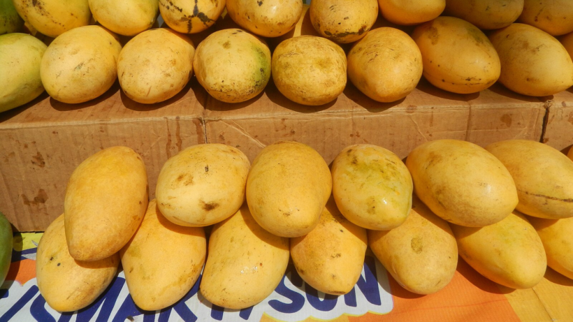 Mango Madness: Indulging in Cebu Philippines' Sweetest Fruit