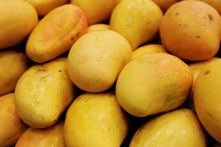 Mango Madness: Indulging in Cebu Philippines' Sweetest Fruit