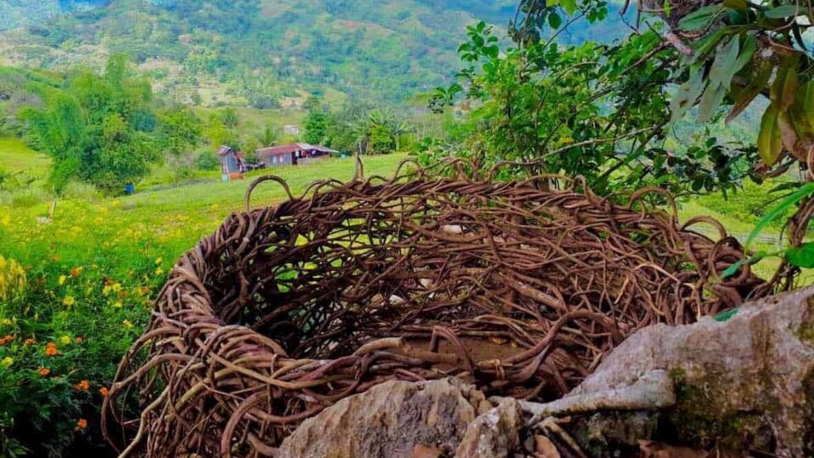 Discovering the Magic of Sirao Garden's Landscape in 2024
